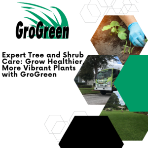 Expert Tree & Shrub Care Services in Texas | GroGreen