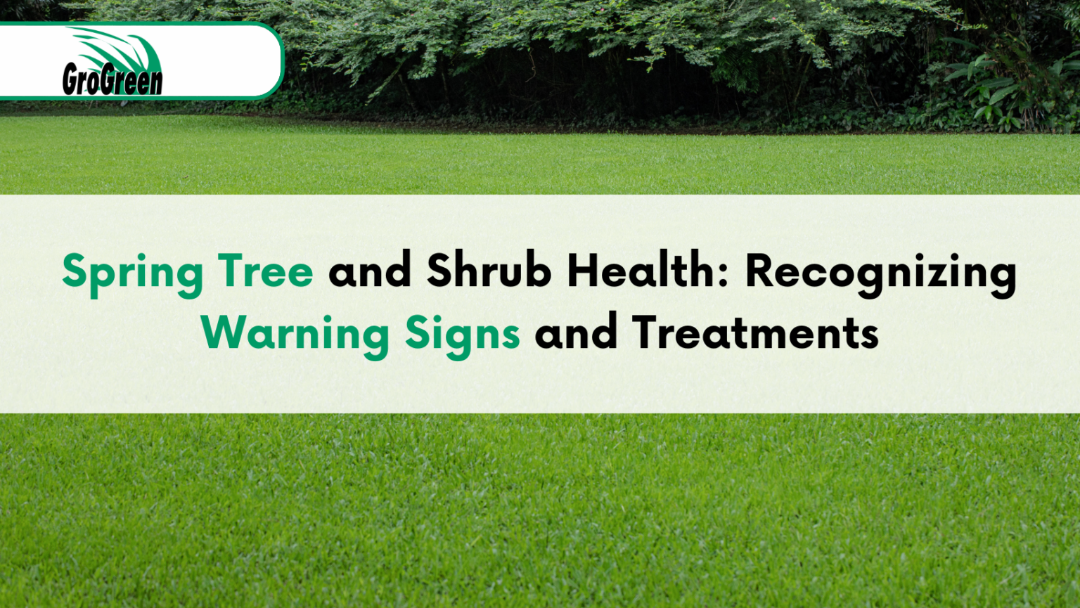 Spring Trees and Shrubs Health | GroGreen