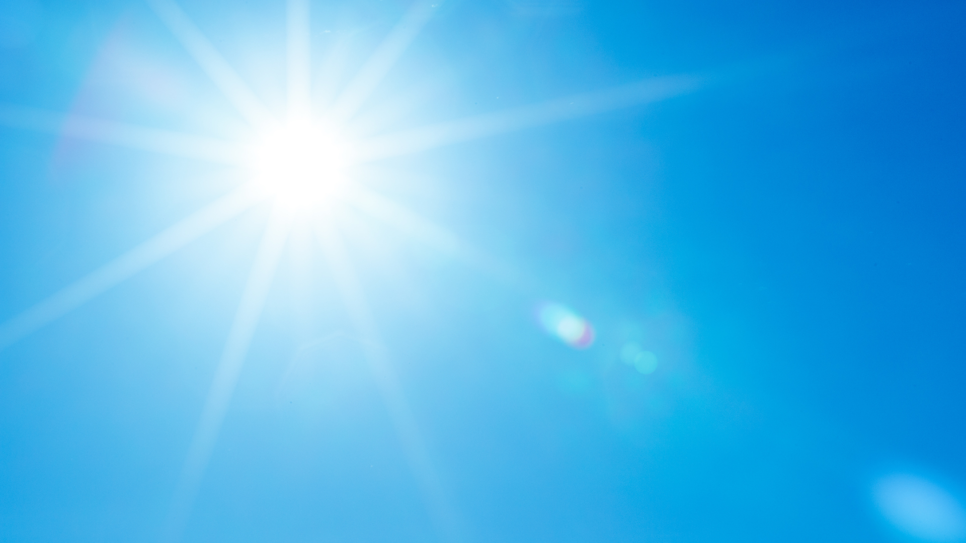 Shield Your Landscape: Summer Care for Trees and Shrubs | GroGreen